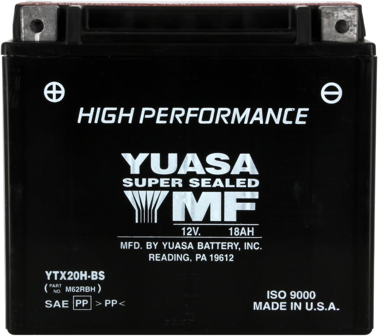 Amazon.com: Yuasa YTX20H-BS Battery: Automotive
