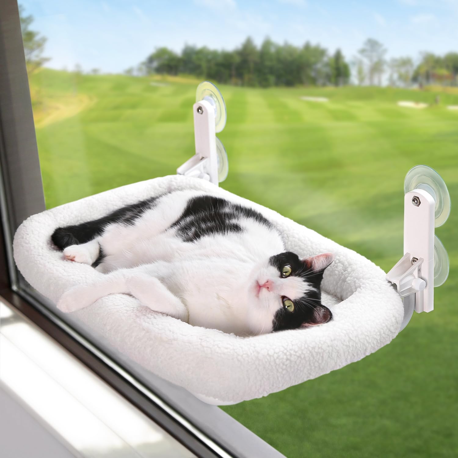 Zakkart Foldable Cat Hammock for Window - Cordless, Embeded Machine ...