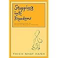 Amazon.com: Stepping into Freedom: An Introduction to Buddhist Monastic ...