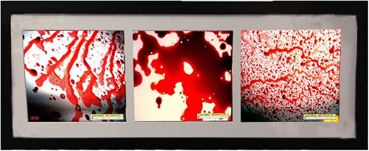 Amazon.com: Dexter Framed Blood Spatter Prints: Posters & Prints