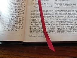 MEV Bible Personal Size Large Print Cherry Brown: Modern English ...