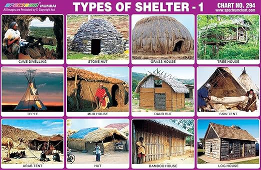 Spectrum Primary School Kids Projects Learning Types Of Shelter - 1 ...