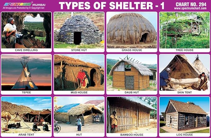 Spectrum Primary School Kids Projects Learning Types Of Shelter - 1 ...