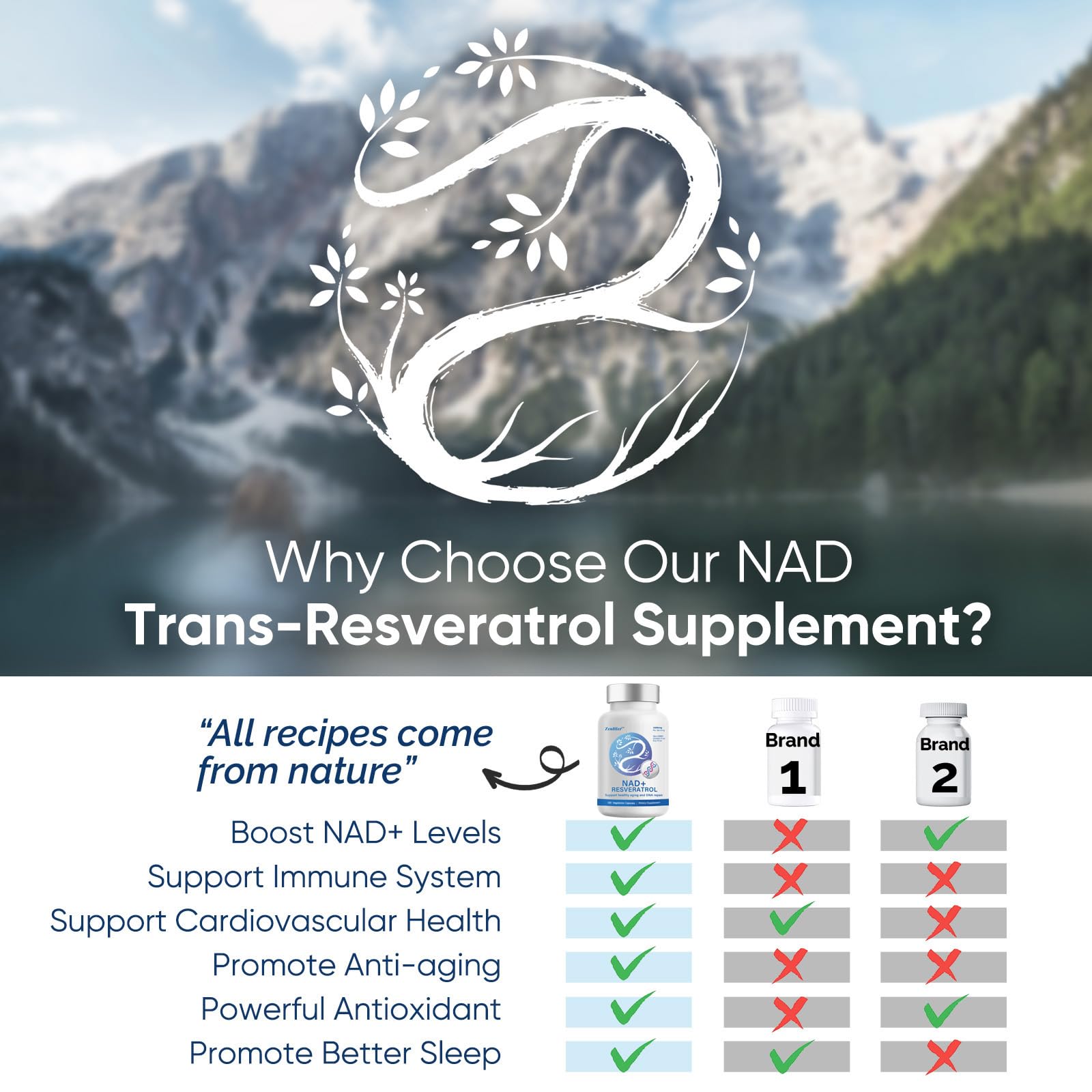 Mua Zenlifer NAD+ 1000MG Resveratrol Boosting Supplement - More Efficient Than NMN -Nicotinamide ...