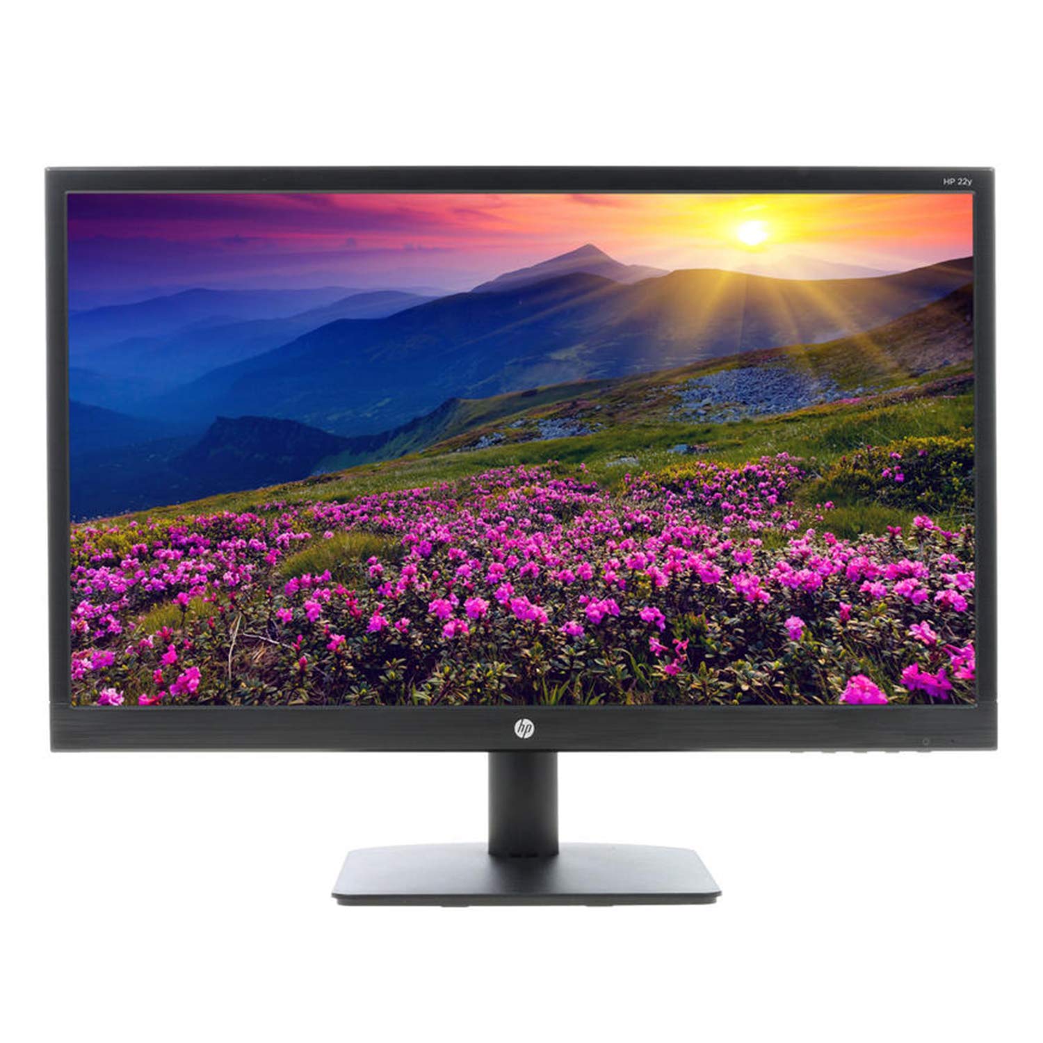 Amazon.in: Buy HP 22y 21.5-inch Full HD IPS Monitor with VESA Mount ...