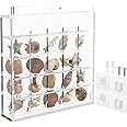 Amazon.com: Acrylic Seashell Display Box, 25 Grids Clear Acrylic Mini ...