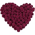 Amazon.com: MORFEN 150 Pieces Pom Poms, 1 Inch Dark Red Craft Pom Poms ...
