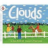 Feel the Wind (Let's-Read-and-Find-Out Science 2): Dorros, Arthur ...