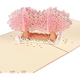 Amazon.com : Moon 3D Pop Up Card - Birthday Greeting Cards,Anniversary ...