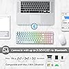 RK ROYAL KLUDGE Wireless Mechanical Keyboard RK100 Pro, 2.4G Bluetooth ...