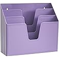 Amazon.com: Acrimet Horizontal Triple File Folder Holder Organizer ...