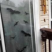 Amazon.com: WANDKINGS Bird and Window Protection, 12 Stickers ...