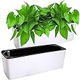 Amazon.com : Fasmov 2 Pack Rectangle Self Watering Planter with Water ...
