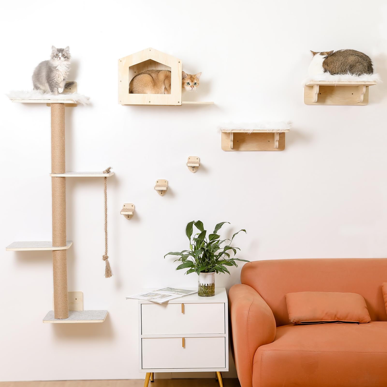 COOLEX Cat Wall Shelves, Wood Wall Mounted Cat Furniture with 4 Tier ...