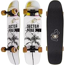 Sector 9