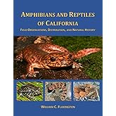 California Amphibians and Reptiles (Princeton Field Guides): Hansen, Robert, Shedd, Jackson D ...