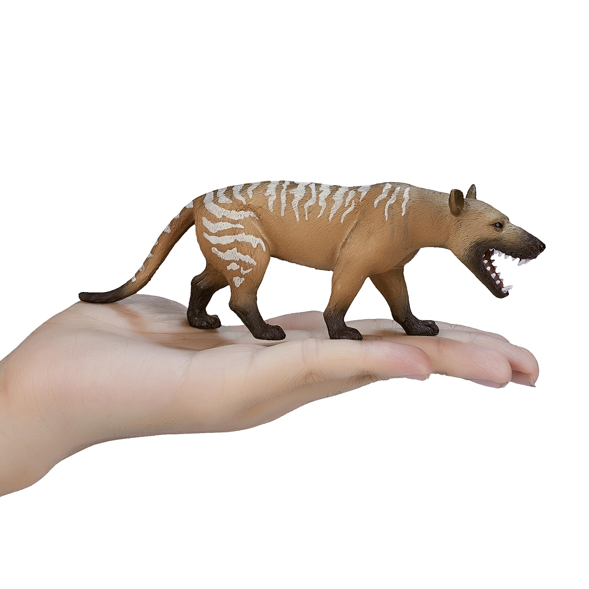 MOJO Hyaenodon Gigas Realistic Prehistoric Extinct Animal Collection ...
