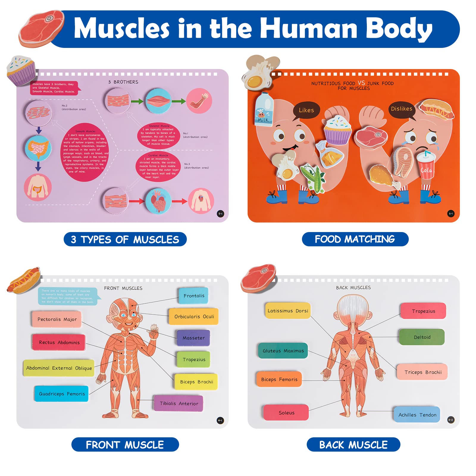 Mua Freebear Montessori Busy Book for Kids, Human Body Anatomy Book for ...