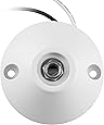 Amazon.com: Lumitronics RV Bunk Light Socket: Automotive