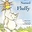 A Porcupine Named Fluffy: Helen Lester, Lynn Munsinger: 9780395368954 ...