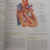 Ross & Wilson Anatomy and Physiology in Health and Illness, 13e: Amazon ...