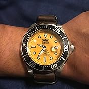 Amazon.com: Invicta Men's 3048 Pro Diver Collection Grand Diver ...