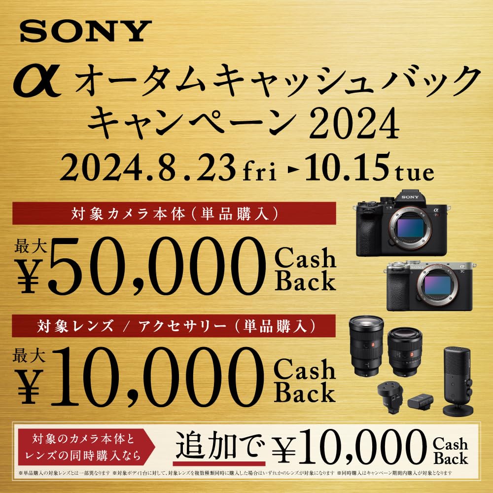 Mua Sony Î±7C Full-Frame MILC Digital Camera, ILCE-7C B Body (without ...