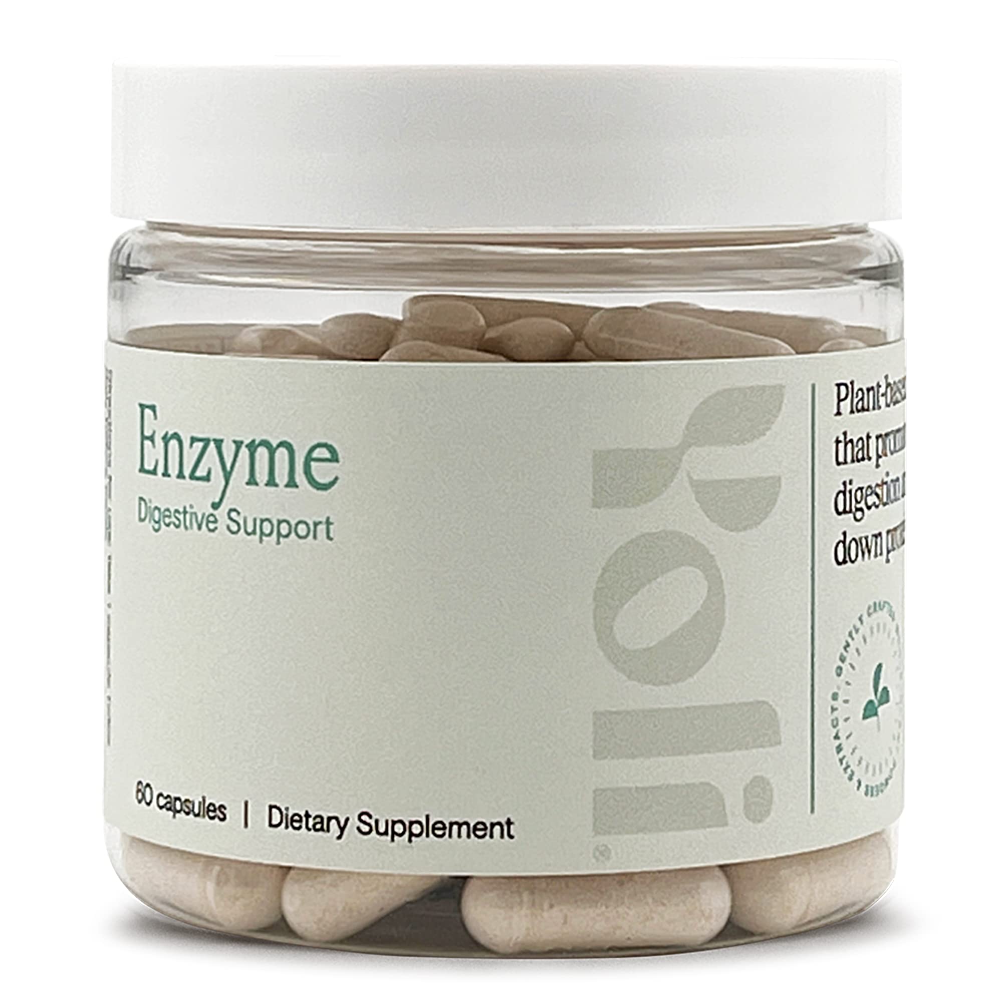 Mua Enzyme - Digestive Enzymes - Gut Health Supplements for Women and ...