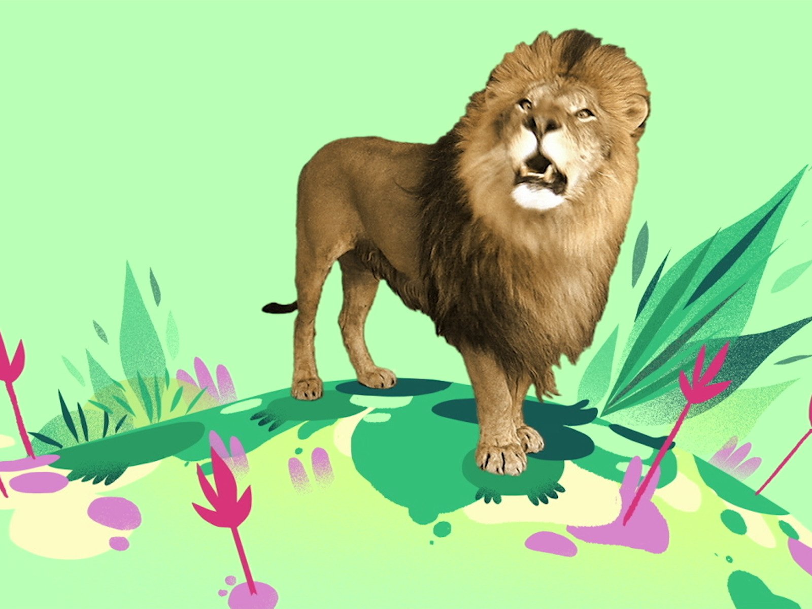 Watch Storybots | Prime Video