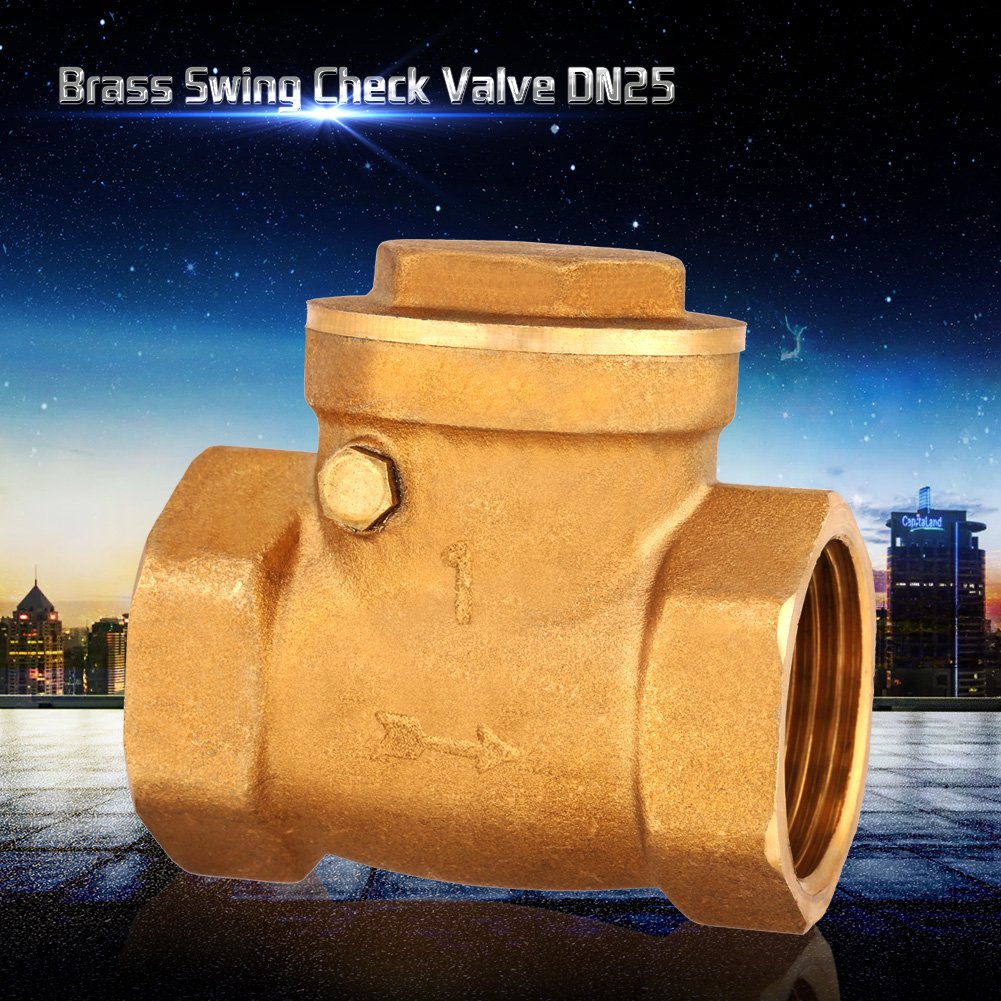 for Water Nominal Pressure 232psi DN25 Female Thread Brass Non-Return ...