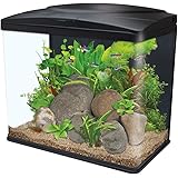 Interpet Insight Glass Aquarium Fish Tank Premium Kit, 40 Litre: Amazon ...