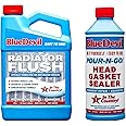 Amazon.com: Combo Pack - Blue Devil Pour-n-go Head Gasket Sealer ...