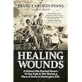 Amazon.com: Healing Wounds: A Vietnam War Combat Nurse's 10-Year Fight ...