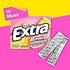 EXTRA Pink Lemonade Gum - Sugar Free Chewing Gum Bulk, 10 Packs per ...