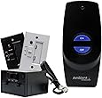Amazon.com: Ambient On/Off Fireplace Remote Control (RCB): Home Audio ...