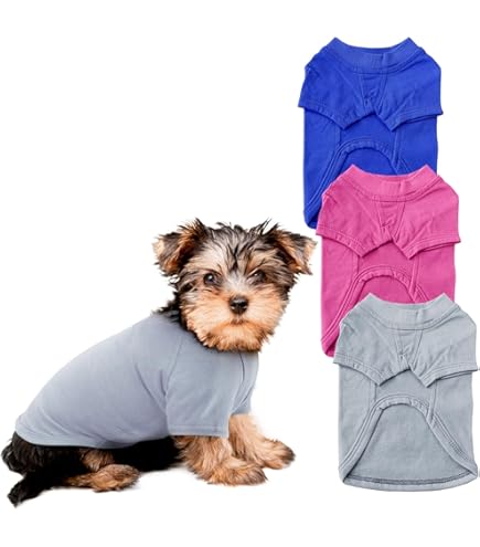 Camiseta Chivas Para Perros Club America For Life 💛💙🦅⚽ We