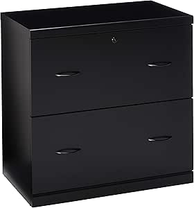 Amazon.com: Z-Line Designs 2-Drawer Lateral File Cabinet, Black : Home ...