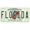 Amazon.com: Miniature Florida License Plate Magnet, Ideal for Fridge ...