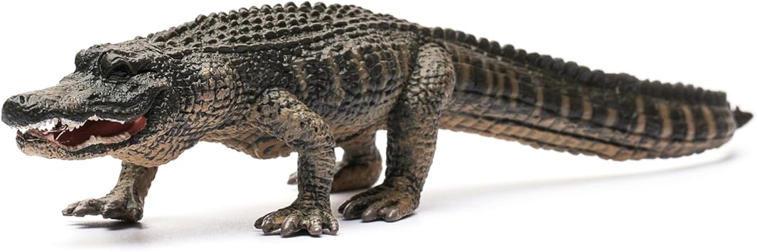 Collecta - Caiman Americano -L- 88609 (90188609): Amazon.es: Juguetes y ...