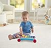 Fisher-Price Toddler Pull Toy, Classic Xylophone Pretend Musical ...