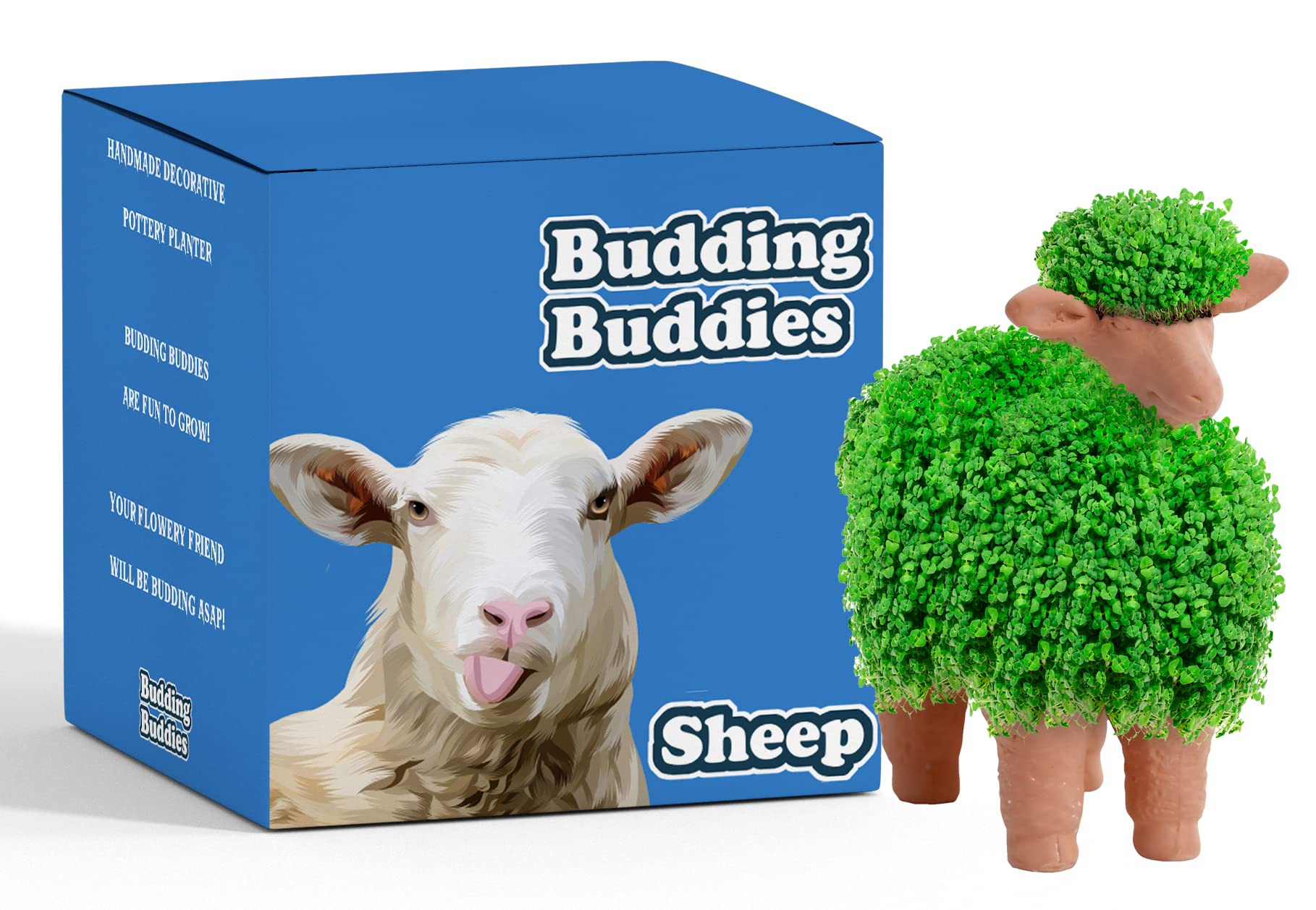 WARM WELCOME shop Kuwait | Buy WARM WELCOME products online Kuwait ...