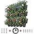 Direct Online Houseware Wonderwall Self Watering Vertical 3 Pocket ...