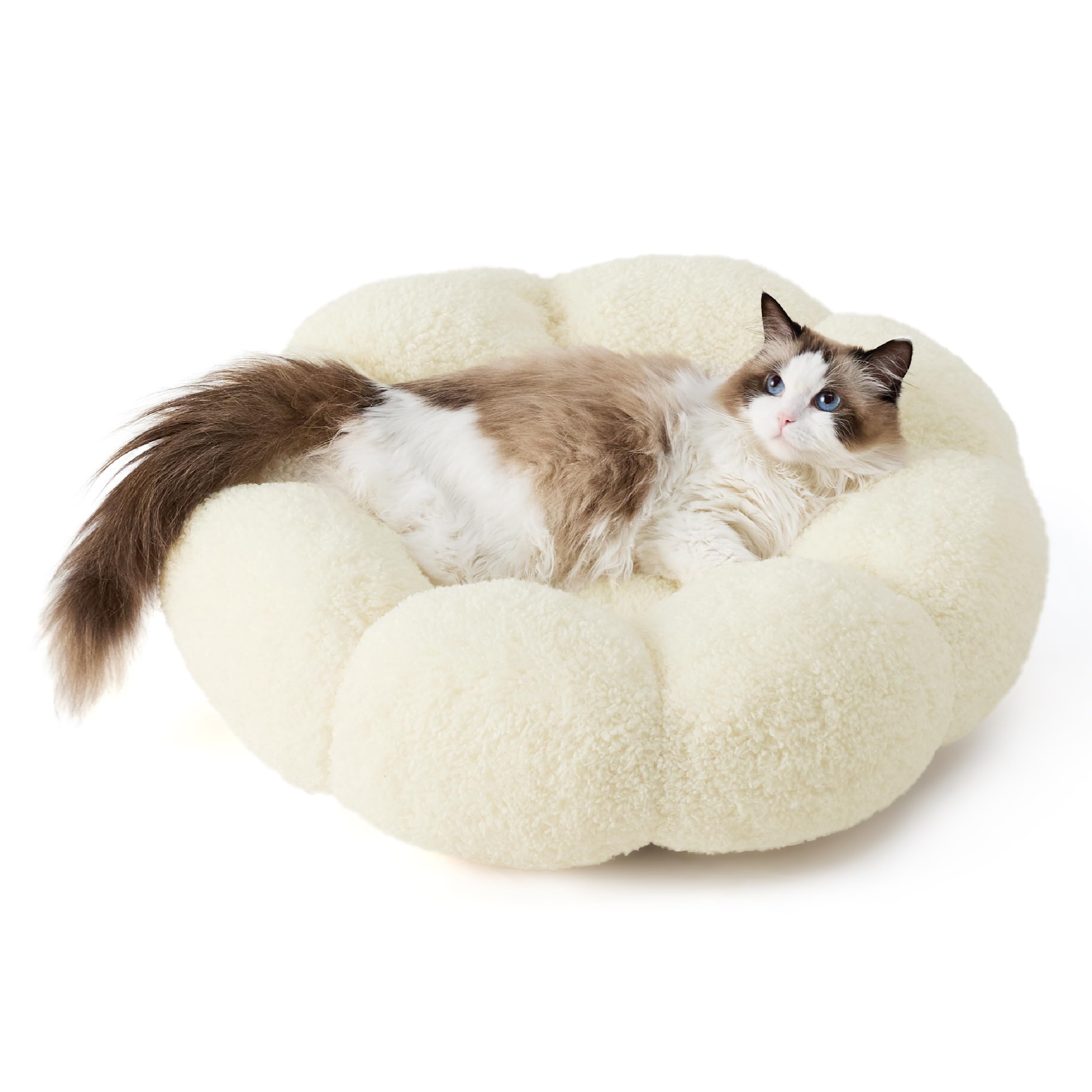 Lesure Calming Cat Beds for Indoor Cats - Cute Flower Pet Beds in Teddy ...