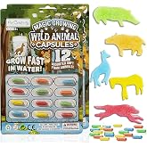 Amazon.com: ArtCreativity Magic Growing Unicorn Capsules - Grow in ...