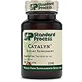 Amazon.com: Standard Process Catalyn - Whole Food Foundational Support ...