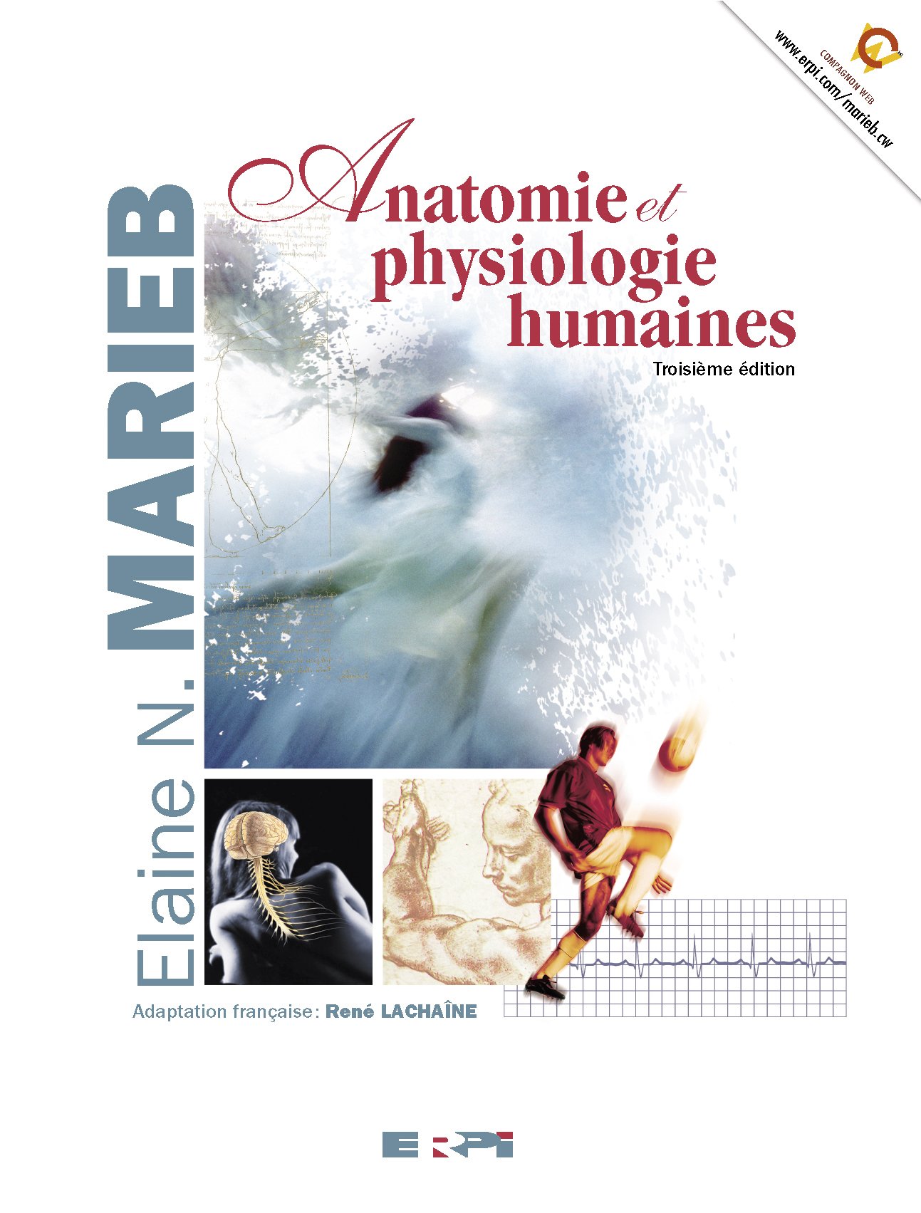 anatomie et physiologie humaine elaine n marieb pdf gratuit