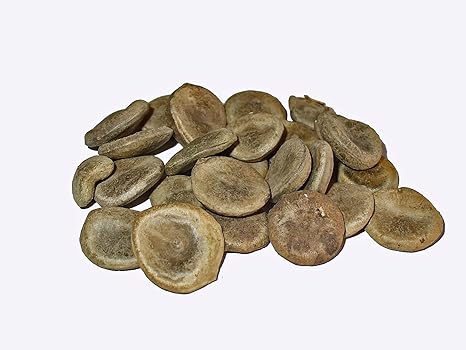 Buy Pmw Strychnos Nux Vomica Poison Nut Quaker Yettikottai Kupilu ...