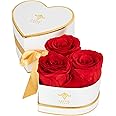 Amazon.com: VLove Forever Roses in a Black Box | Real Roses Forever ...