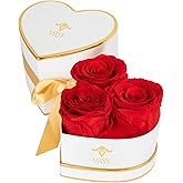Amazon.com: VLove Forever Roses in a Black Box | Real Roses Forever ...
