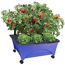 Jardineras De Tomates Con Riego Automático Earthbox Riego Automático